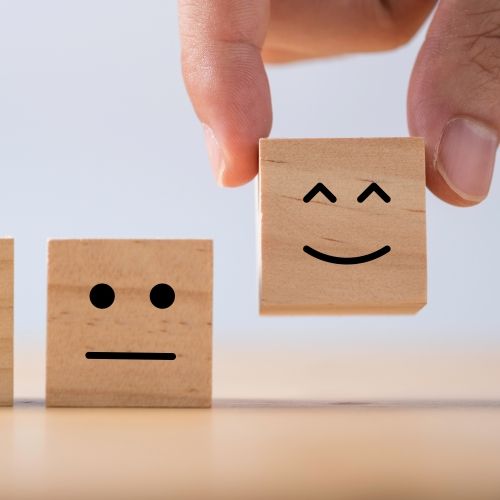 The origin and function of emotions: An evolutionary psychological ...